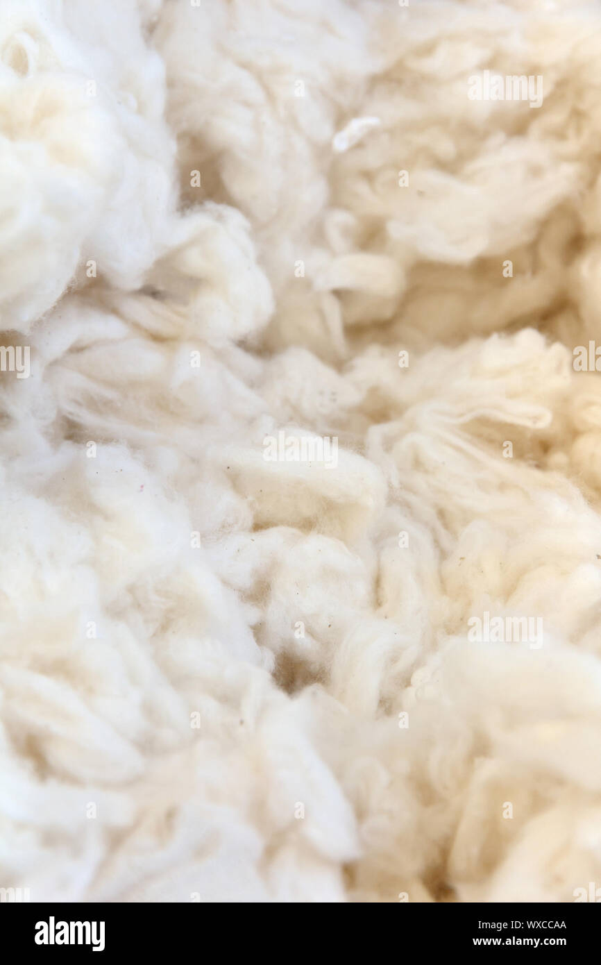 cotton wool background Stock Photo - Alamy