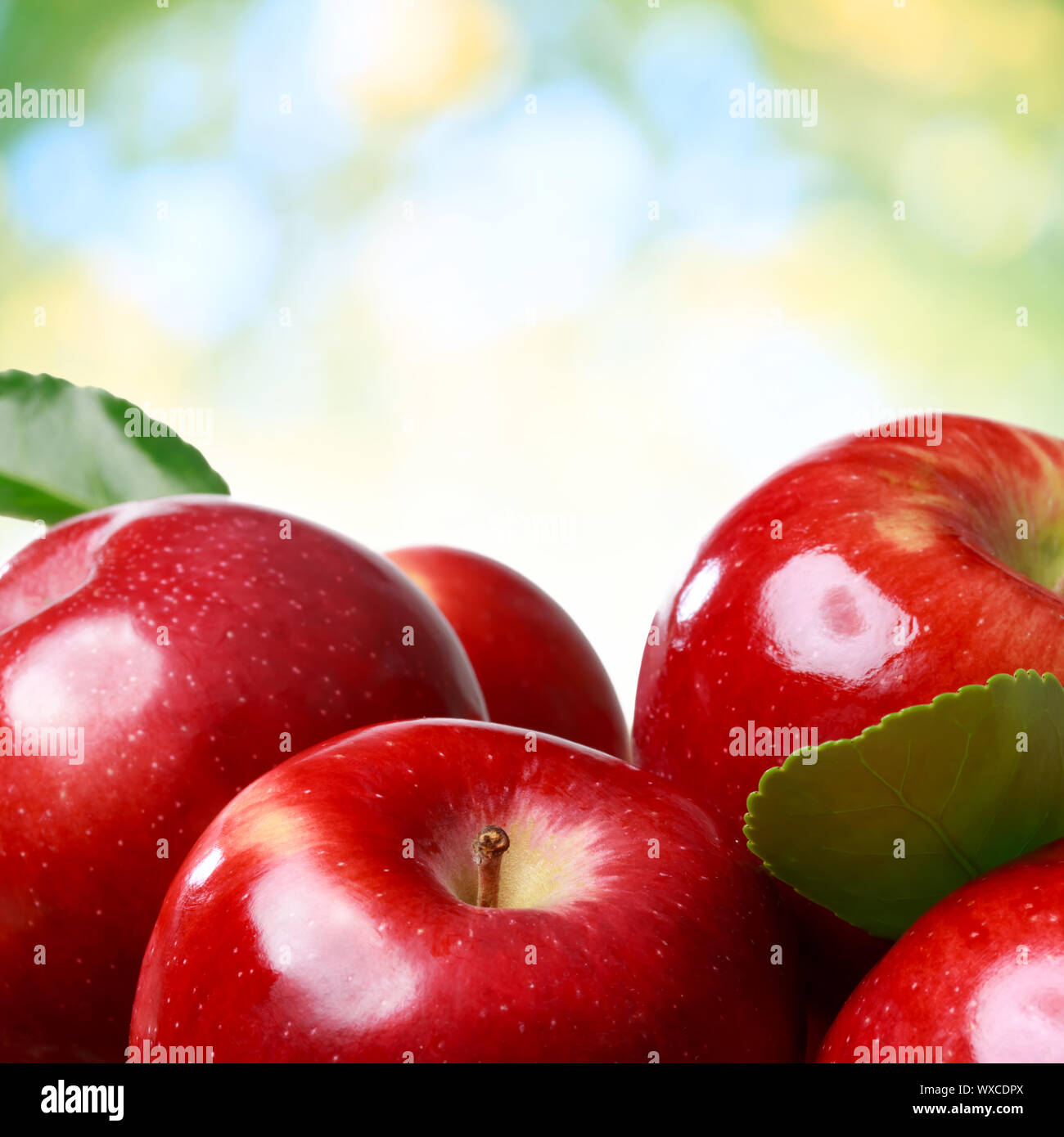 Fresh apples on abstract lights background Stock Photo - Alamy