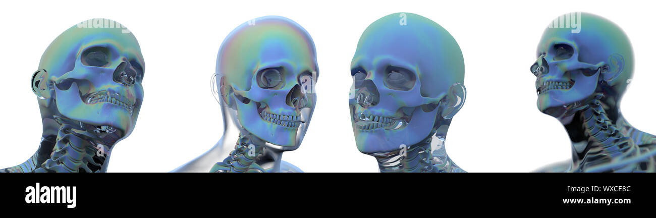3d rendering illustration of skull anatomy collection Stock Photo - Alamy