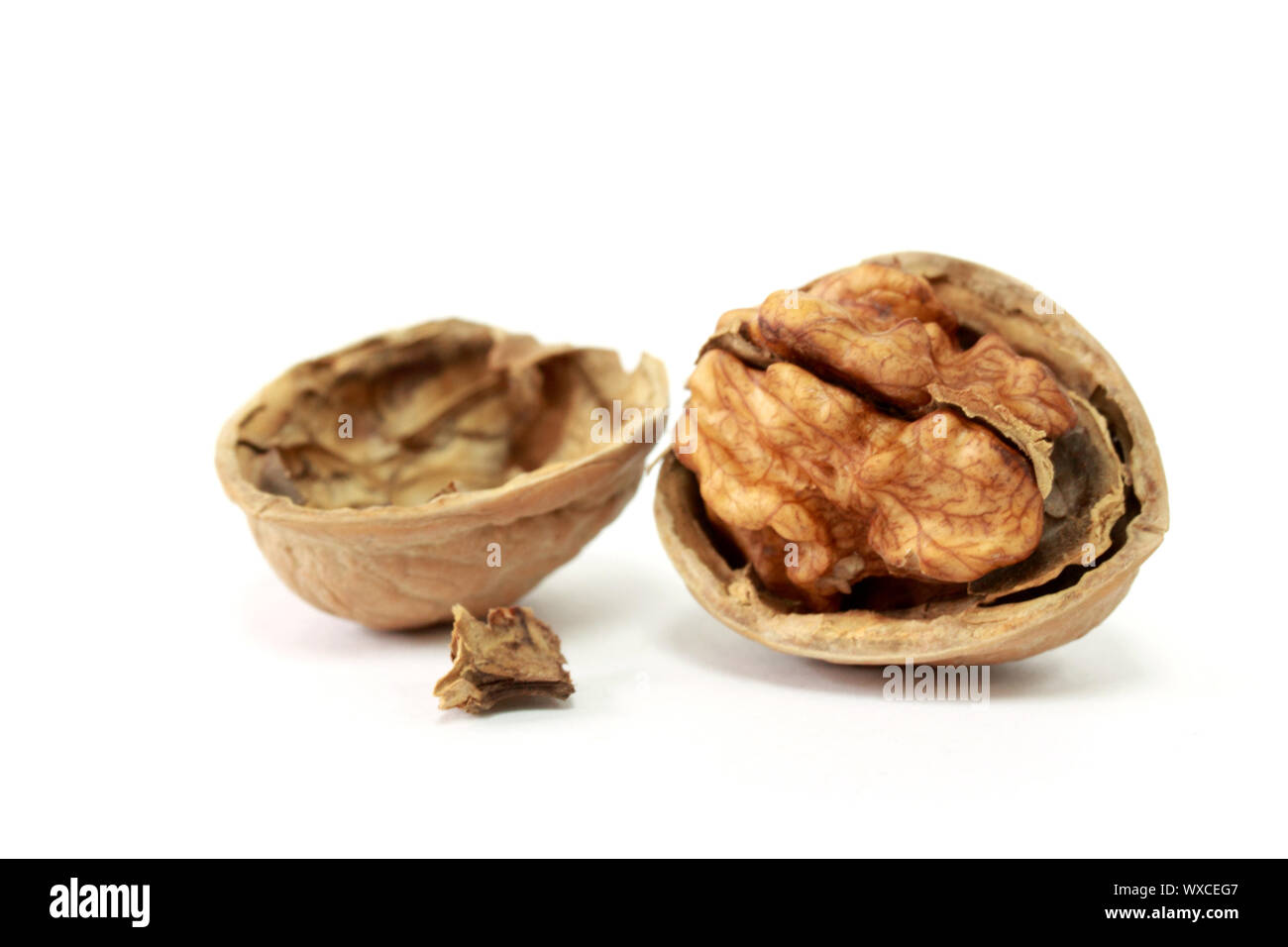 Walnut in nutshell isolated on white background Stock Photo - Alamy