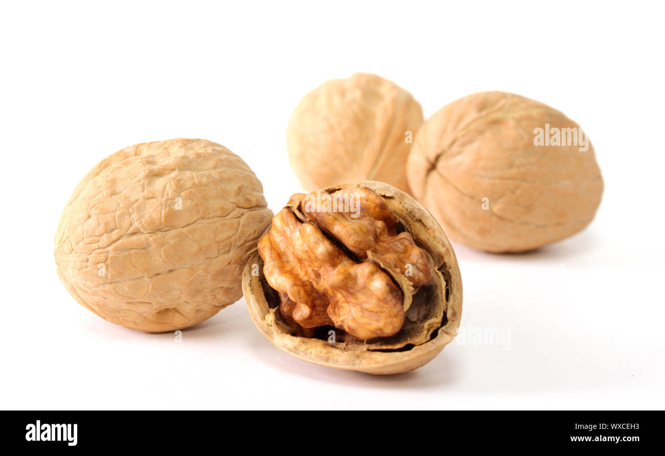 Walnuts in shells isolated on white background Stock Photo - Alamy