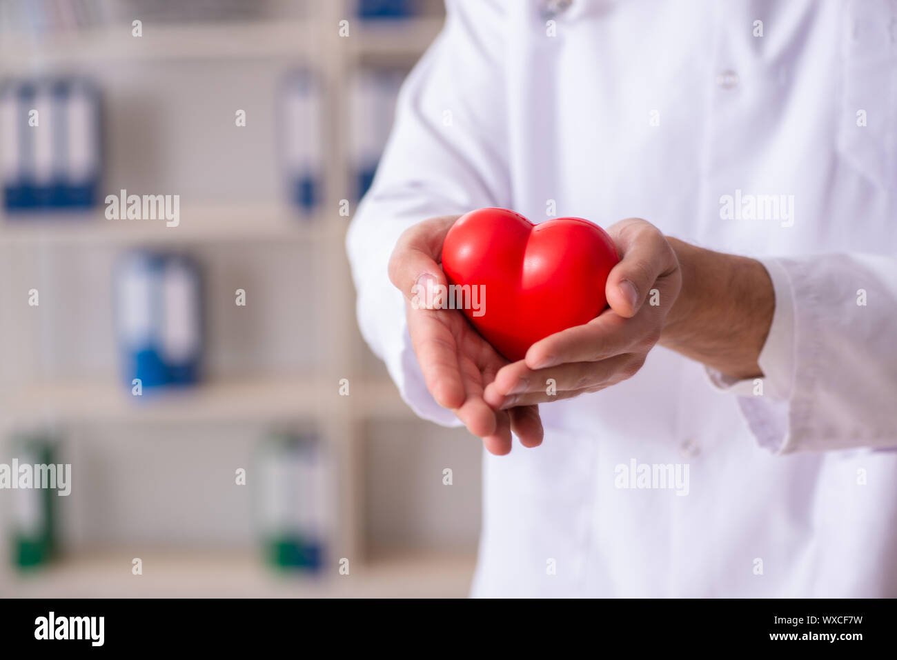 Male doctor cardiologist holding heart model Stock Photo - Alamy