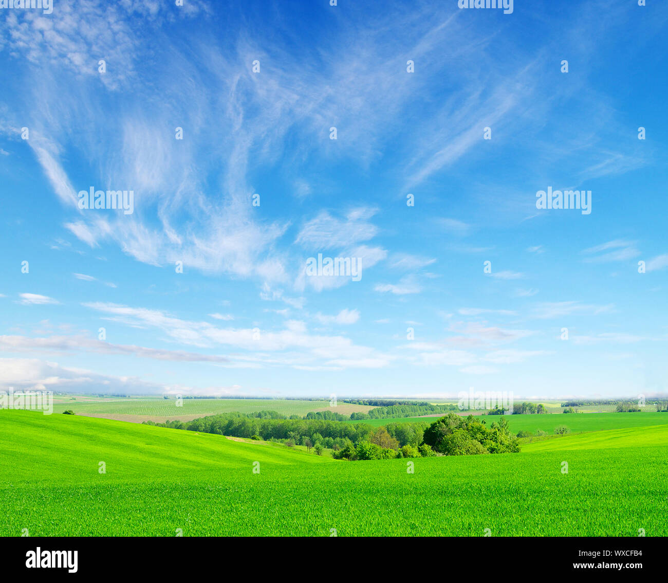 green field and blue sky Stock Photo - Alamy