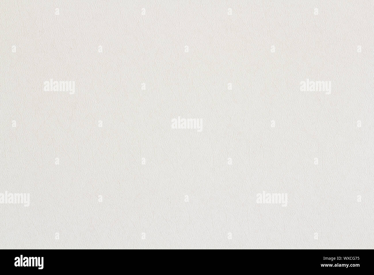 White leaf texture, background and wallpaper style Stock Photo - Alamy