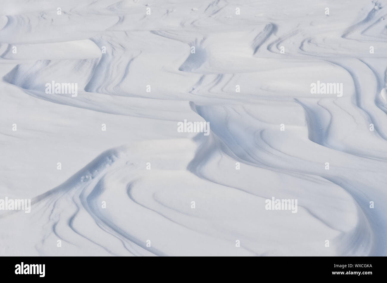 White winter snowdrift curves detail, with no sky background Stock Photo - Alamy