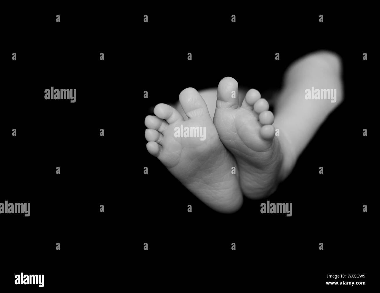 Baby legs. Legs newborn on a black background Stock Photo - Alamy