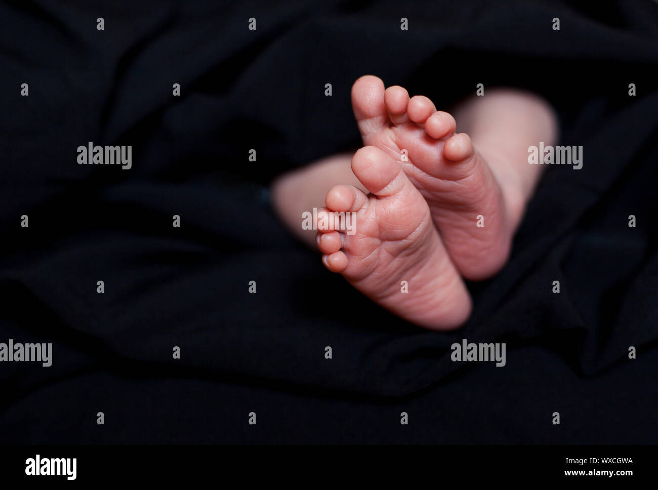 Baby legs. Legs newborn on a black background Stock Photo - Alamy