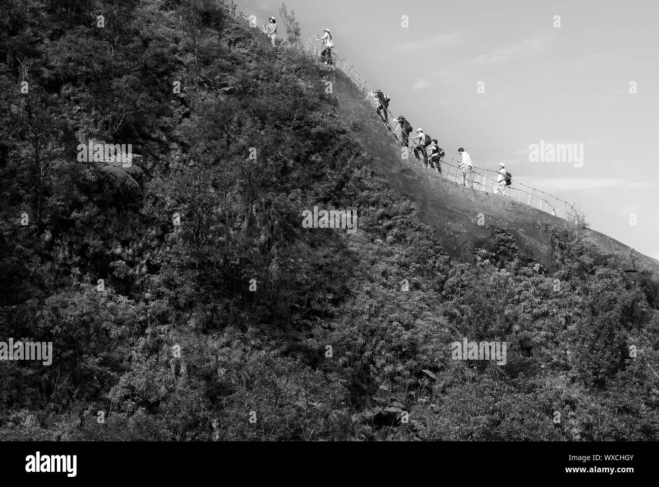 A team who are wanna go to top walk together on way to top Stock Photo ...