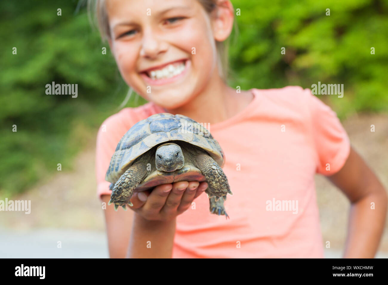 Young cute girl holding turtle. Focus on the turtle Stock Photo - Alamy