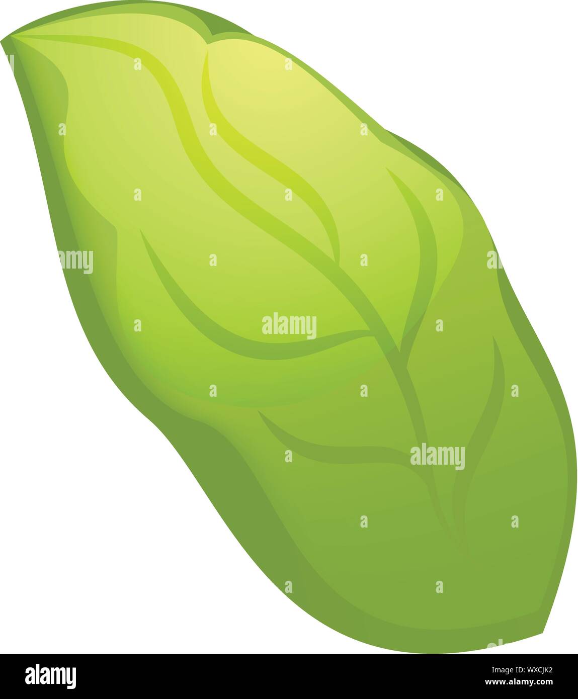 Green leaf icon. Cartoon of green leaf vector icon for web design ...