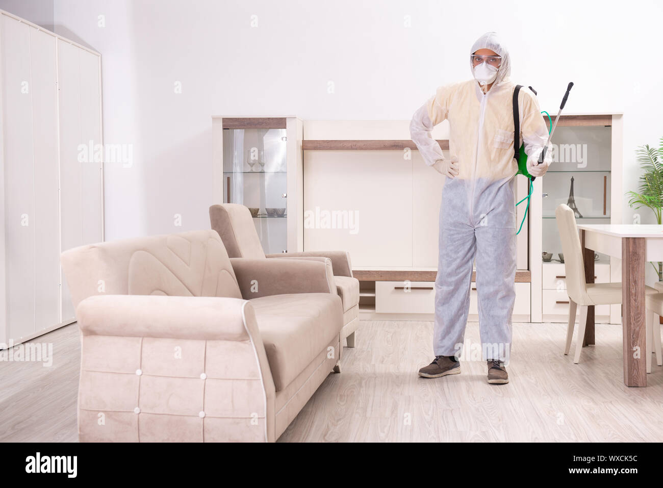 Pest control contractor working in the flat Stock Photo - Alamy