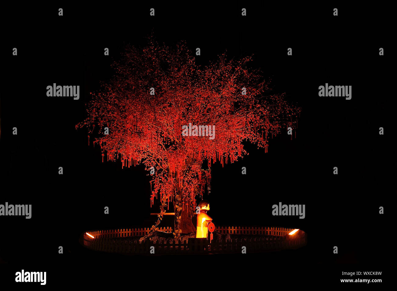 red chinese tree Stock Photo - Alamy