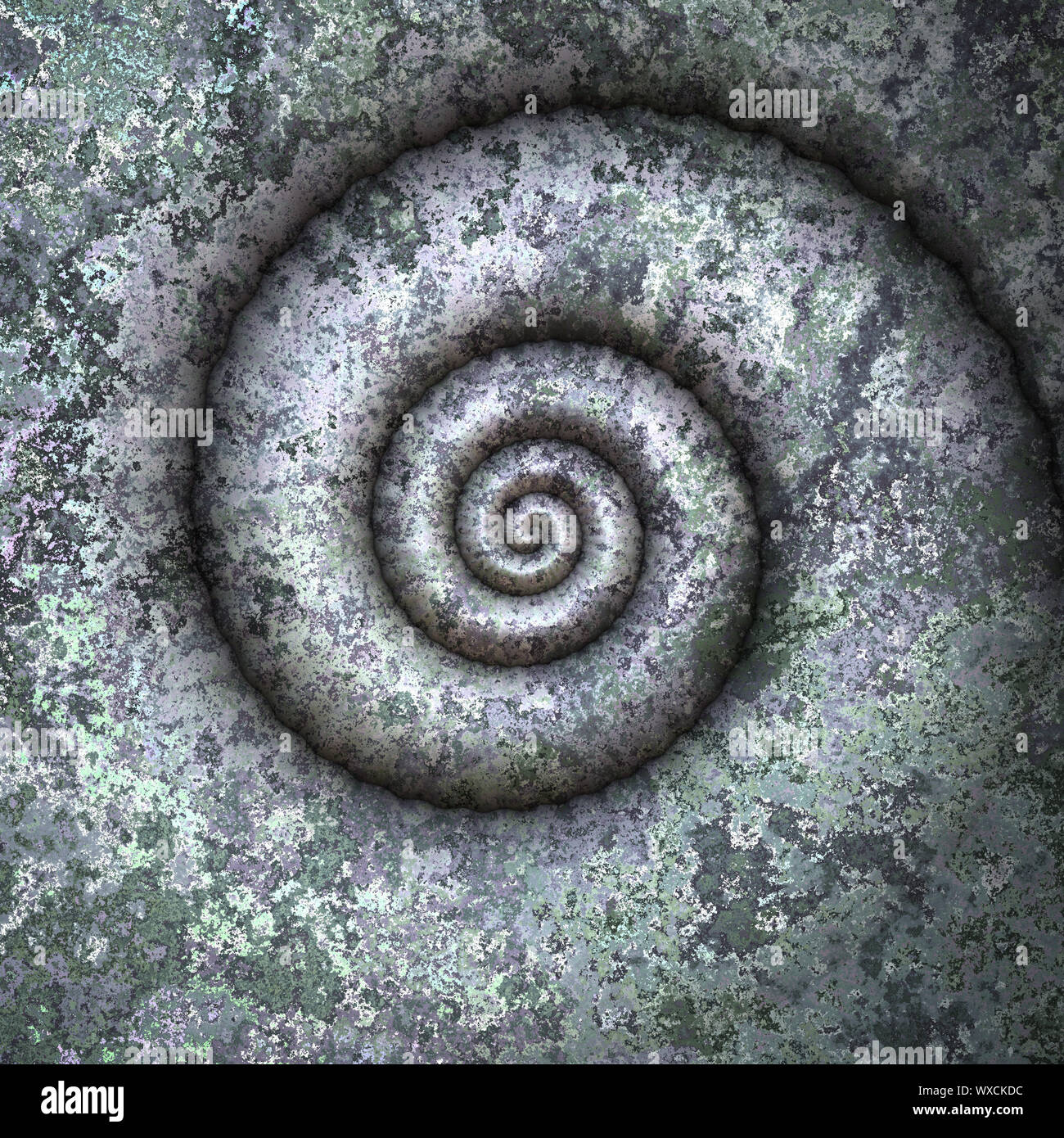 Fossil shell pattern spiral texture hi-res stock photography and images ...