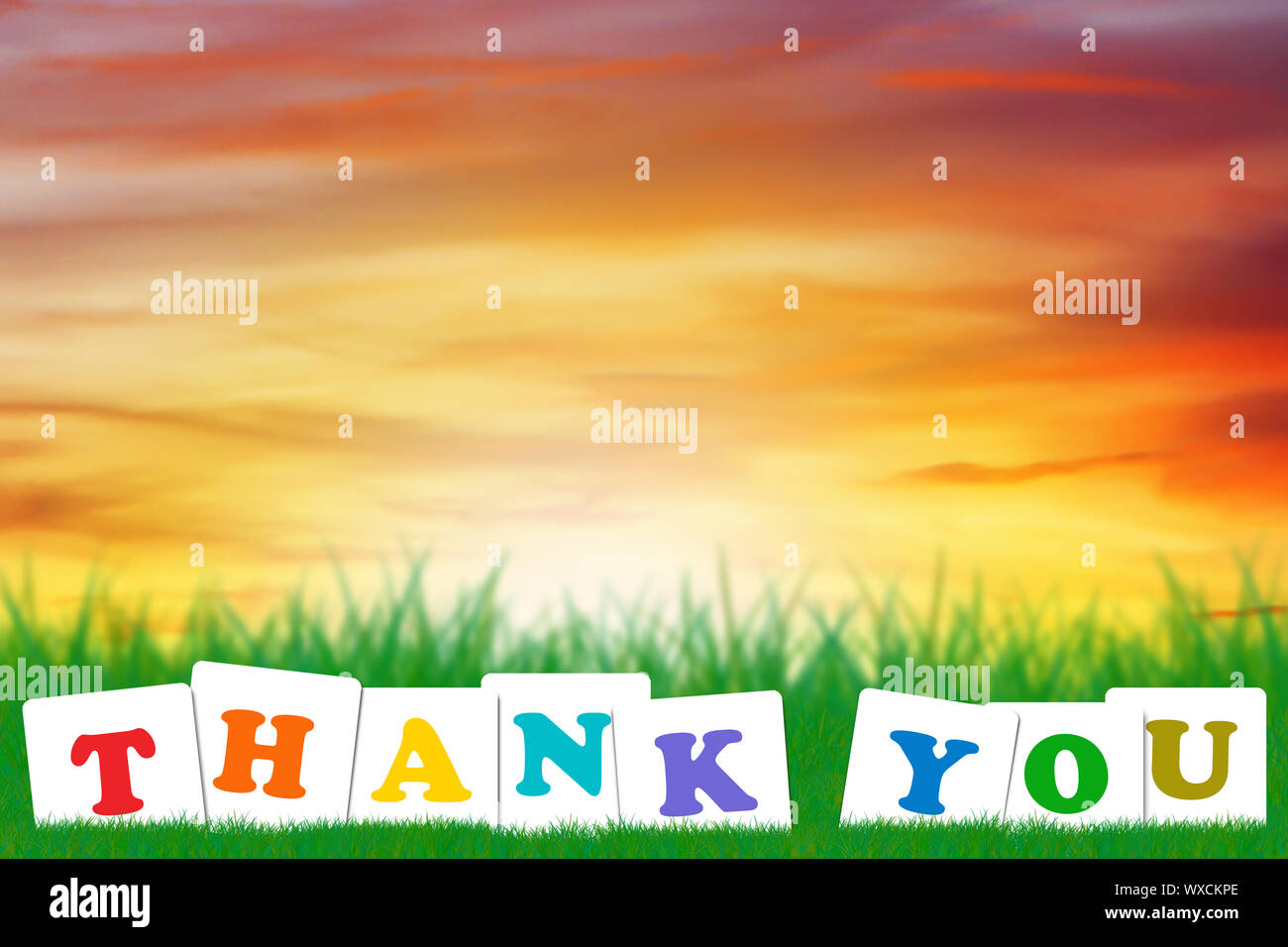 Word thank you concept on green grass and sky background Stock Photo ...