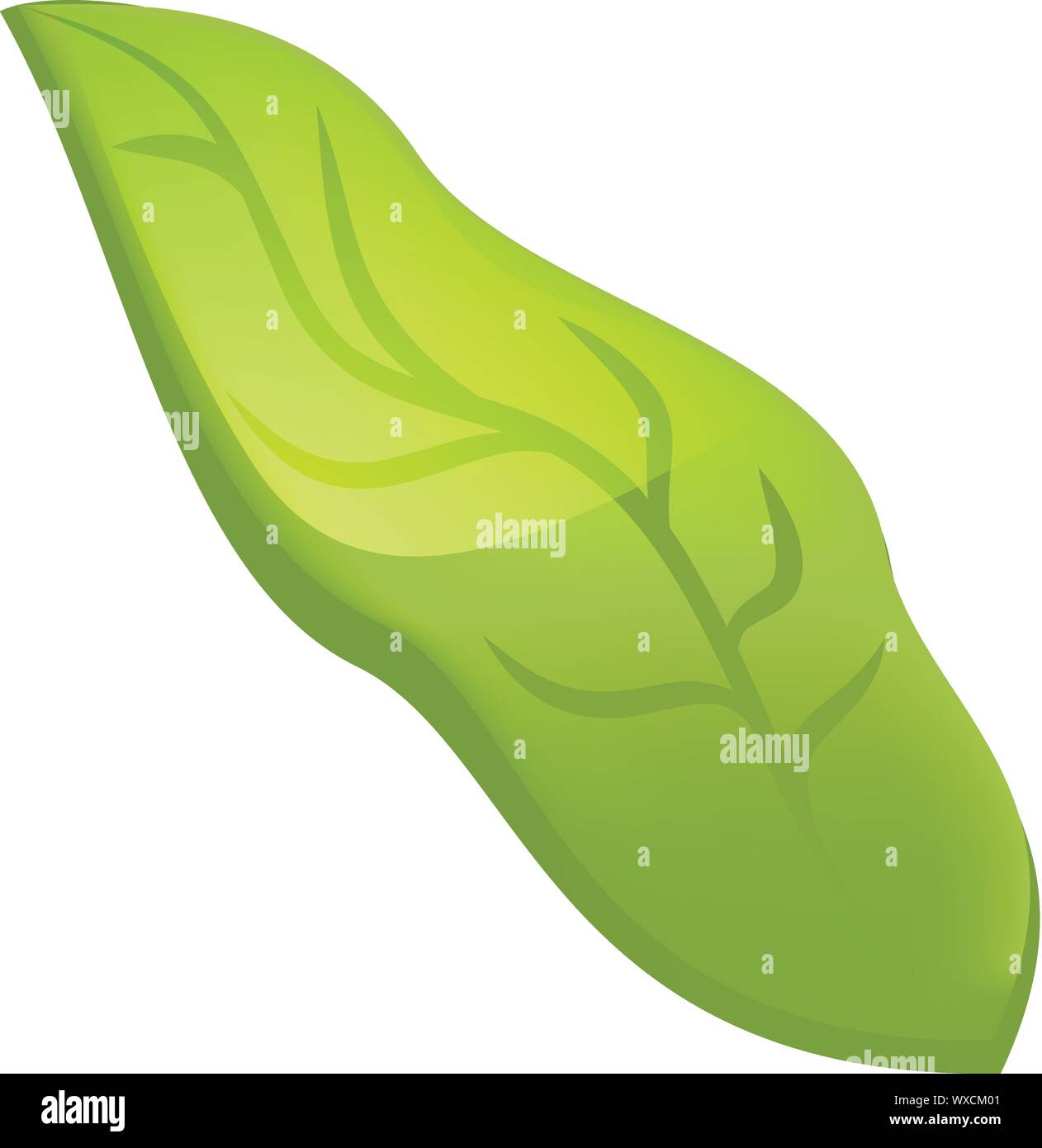 Spring leaf icon. Cartoon of spring leaf vector icon for web design ...