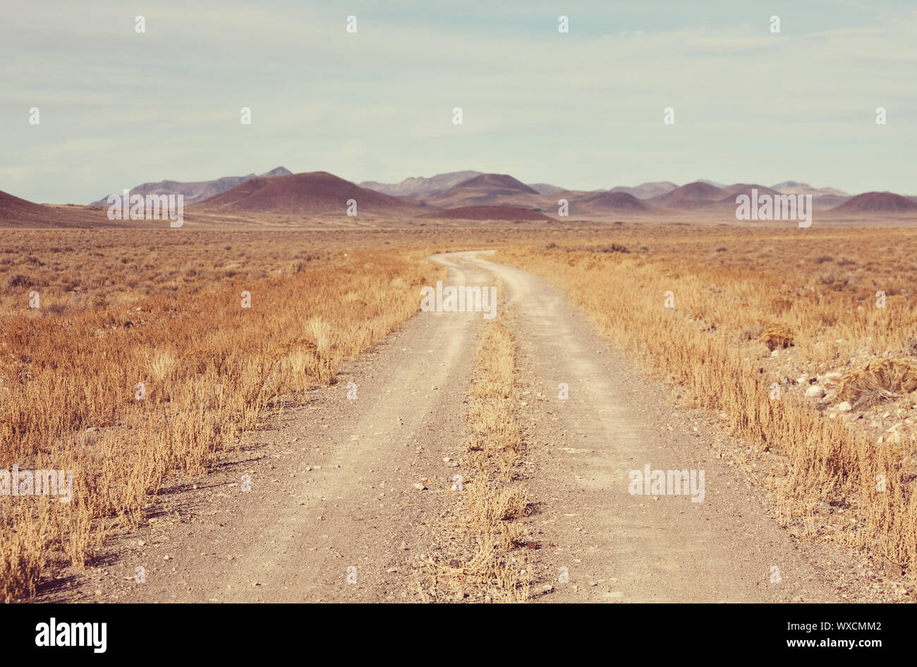 Road in prairie Stock Photo - Alamy