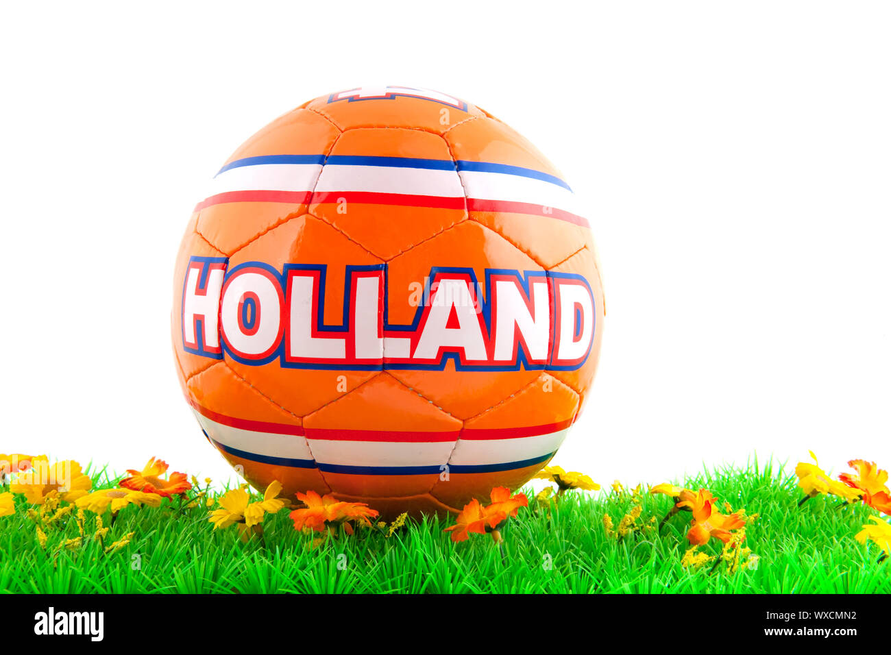 Dutch soccer ball for the world championship in grass Stock Photo - Alamy