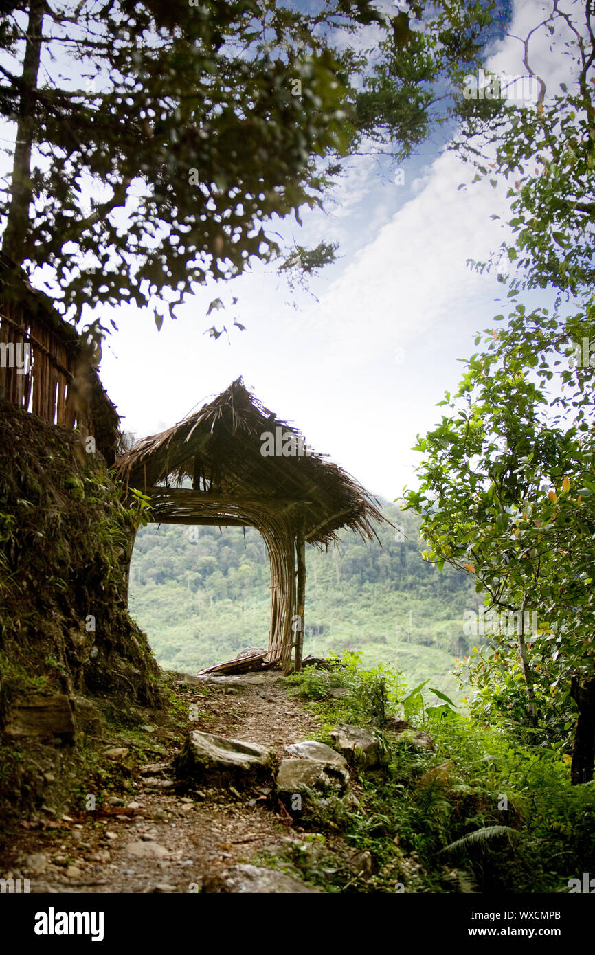 Tropical mountain path hi-res stock photography and images - Alamy