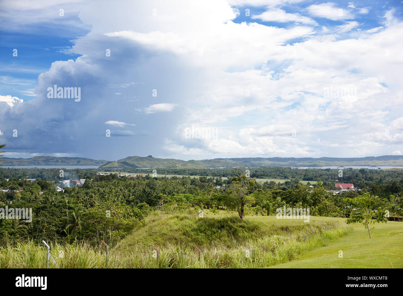 A green lush area of Papua, Indonesia Stock Photo - Alamy