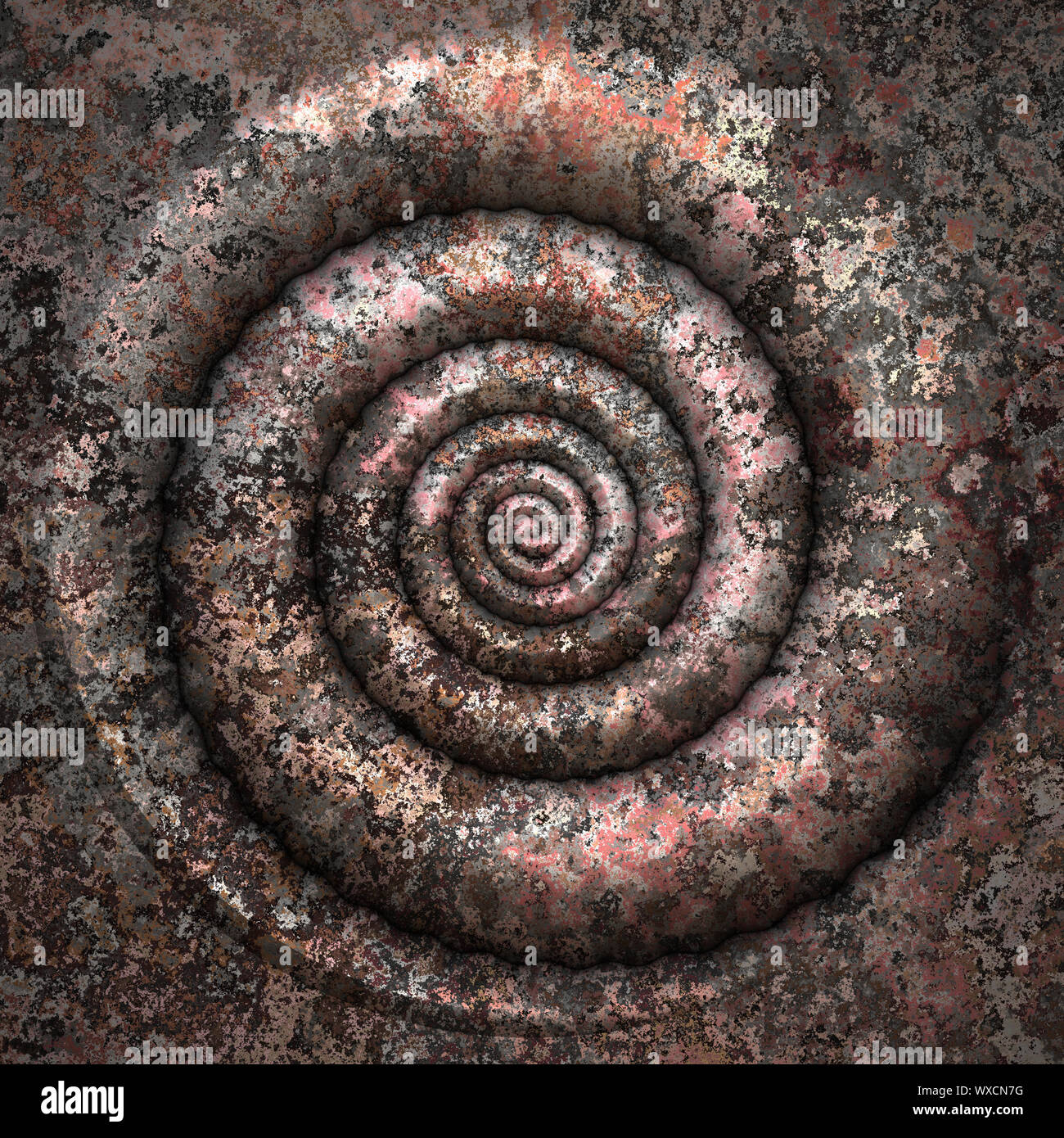 Fossil shell pattern spiral texture hi-res stock photography and images ...