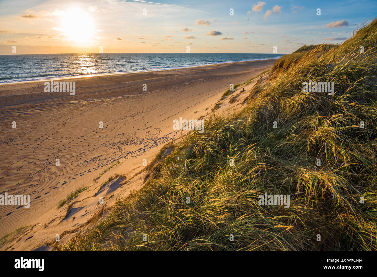 North sea beach, Jutland coast in Denmark Stock Photo - Alamy