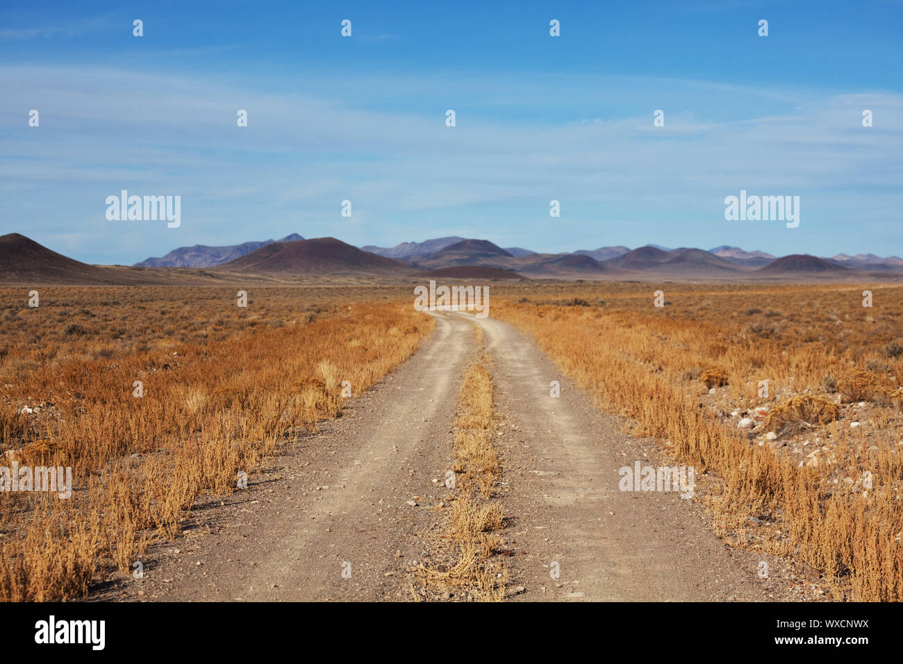 Road in prairie Stock Photo - Alamy