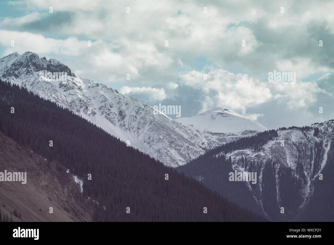Scenic colorado roadway hi-res stock photography and images - Alamy