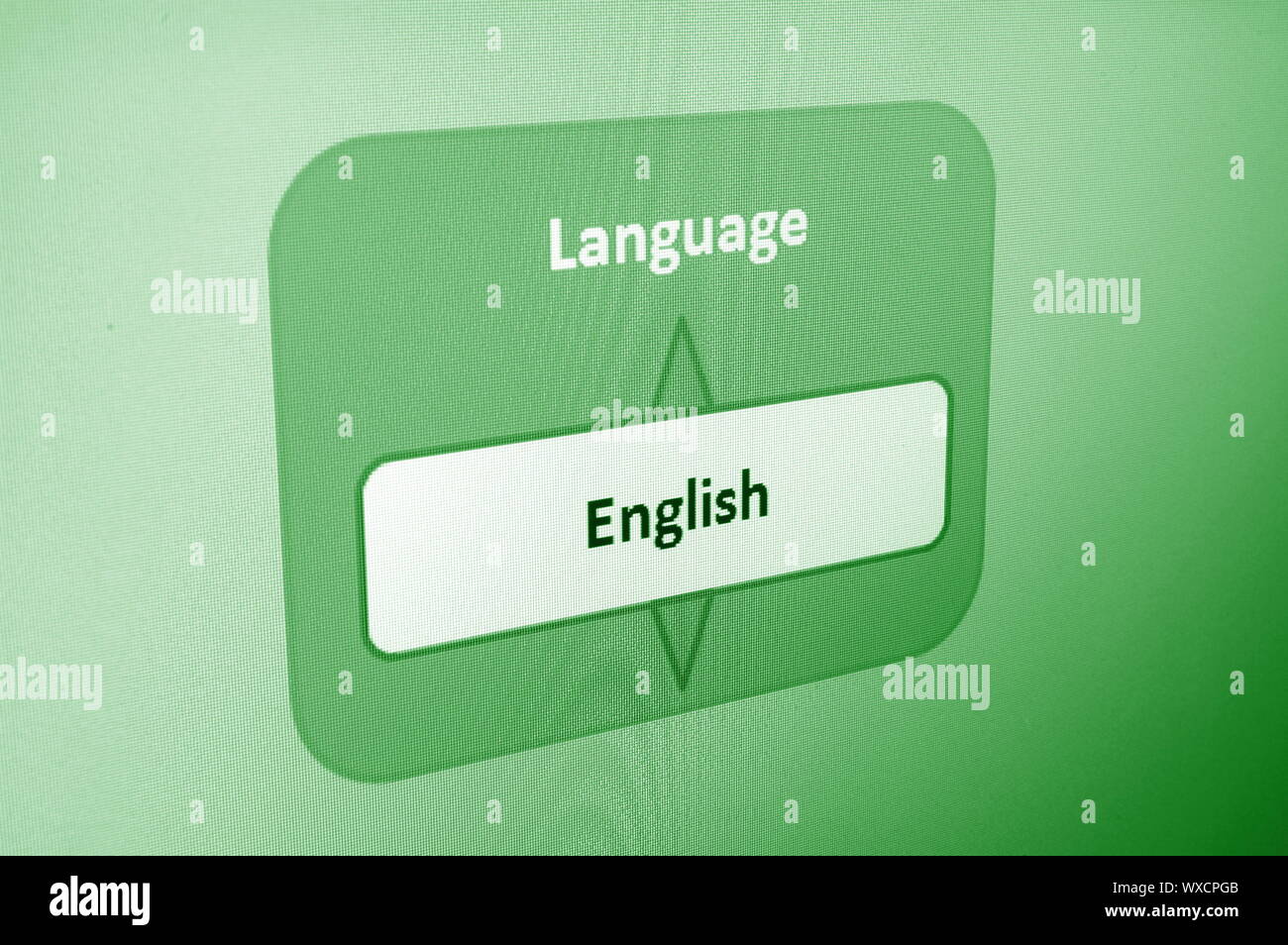select english language on a internet website Stock Photo - Alamy