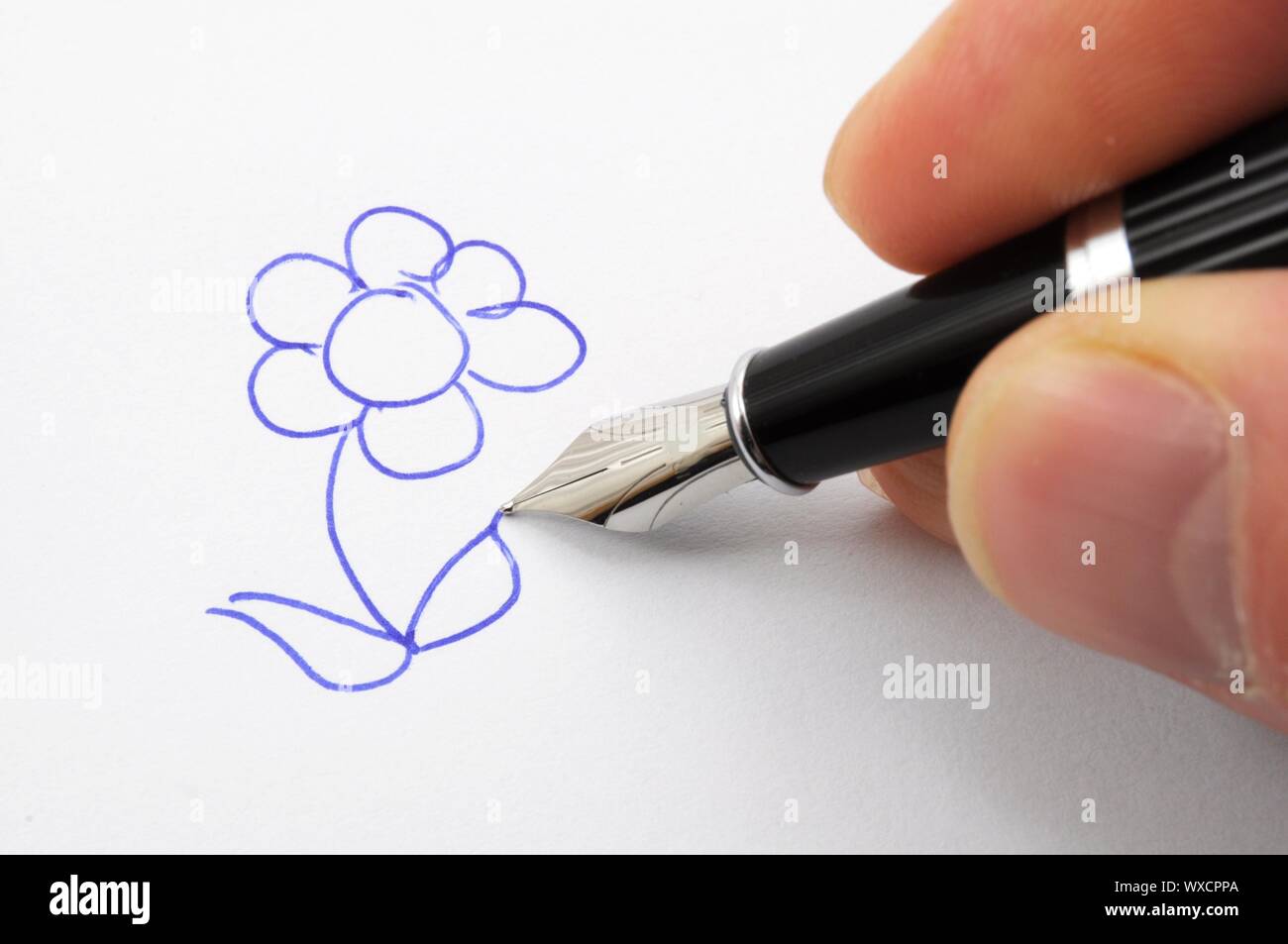 illustration of an flower on paper with a pen Stock Photo - Alamy