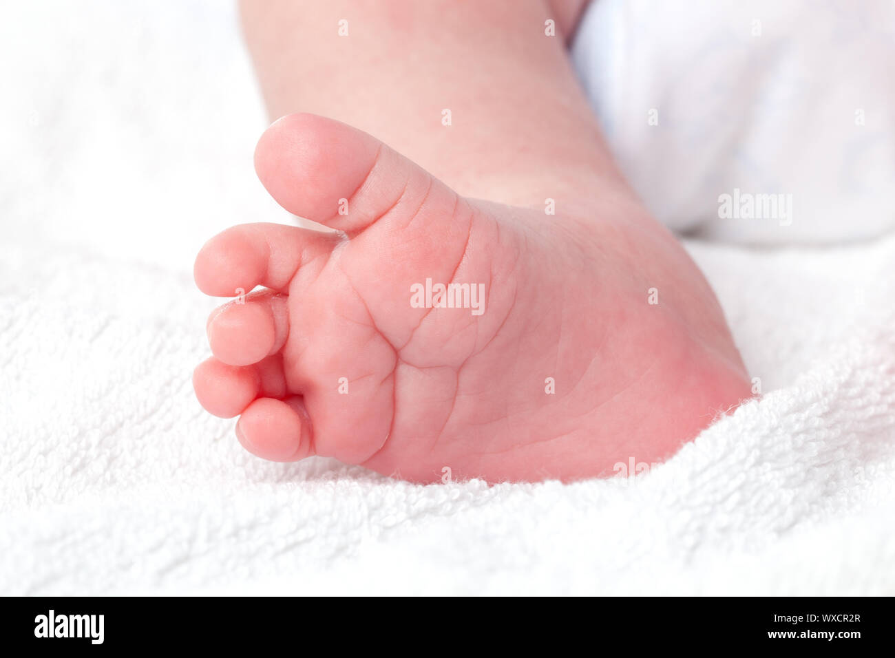 baby legs. Infant Stock Photo - Alamy