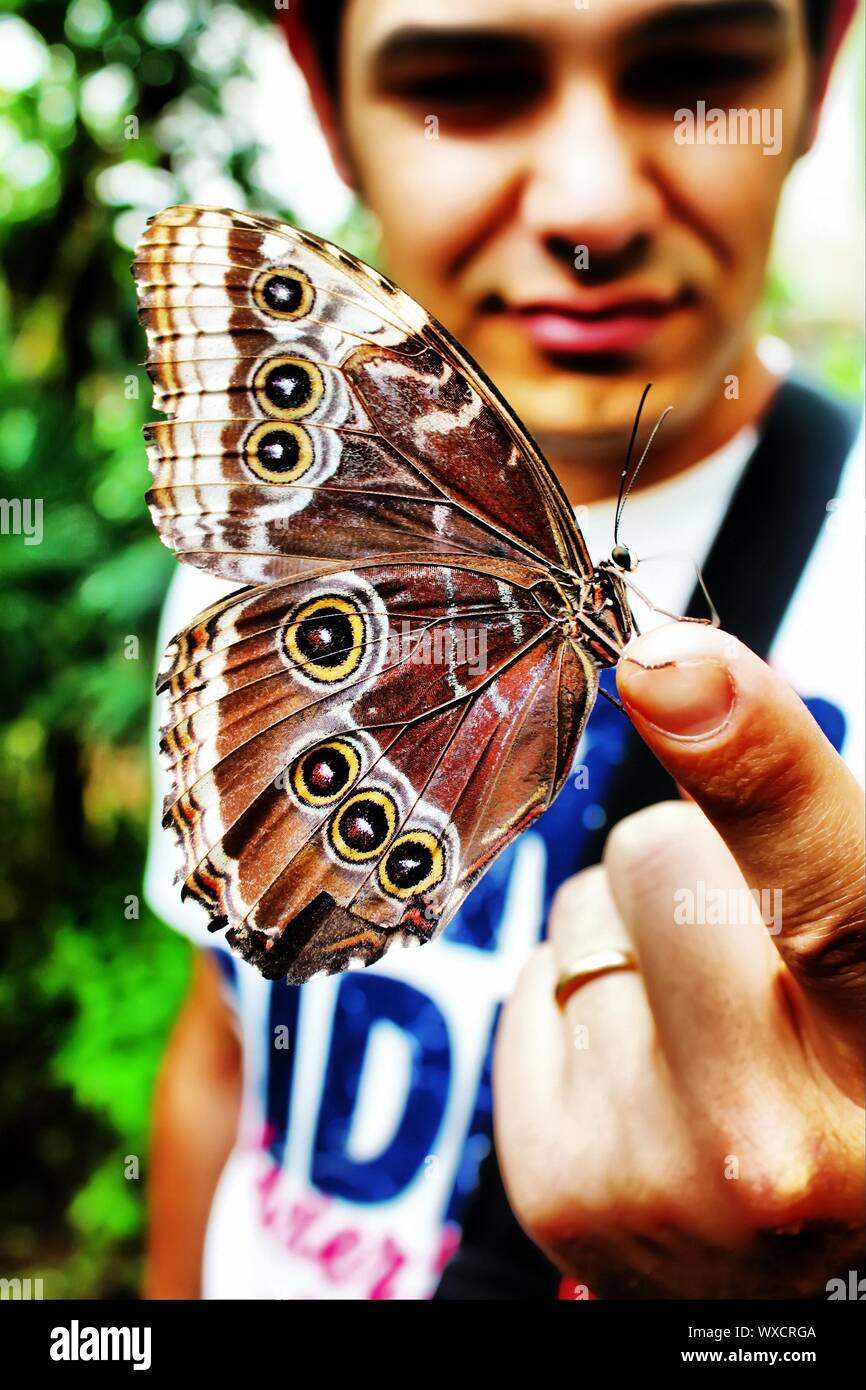 Boy with butterfly Stock Photo - Alamy