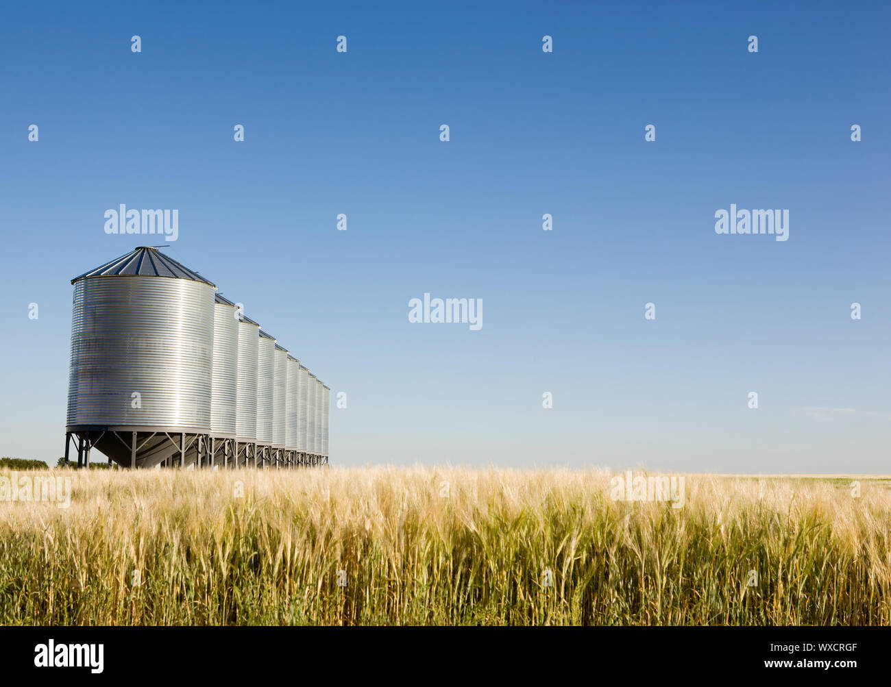 A wheat field with grain bins Stock Photo - Alamy