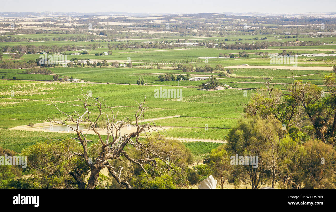 An image of the Barossa Valley landscape in Australia Stock Photo - Alamy