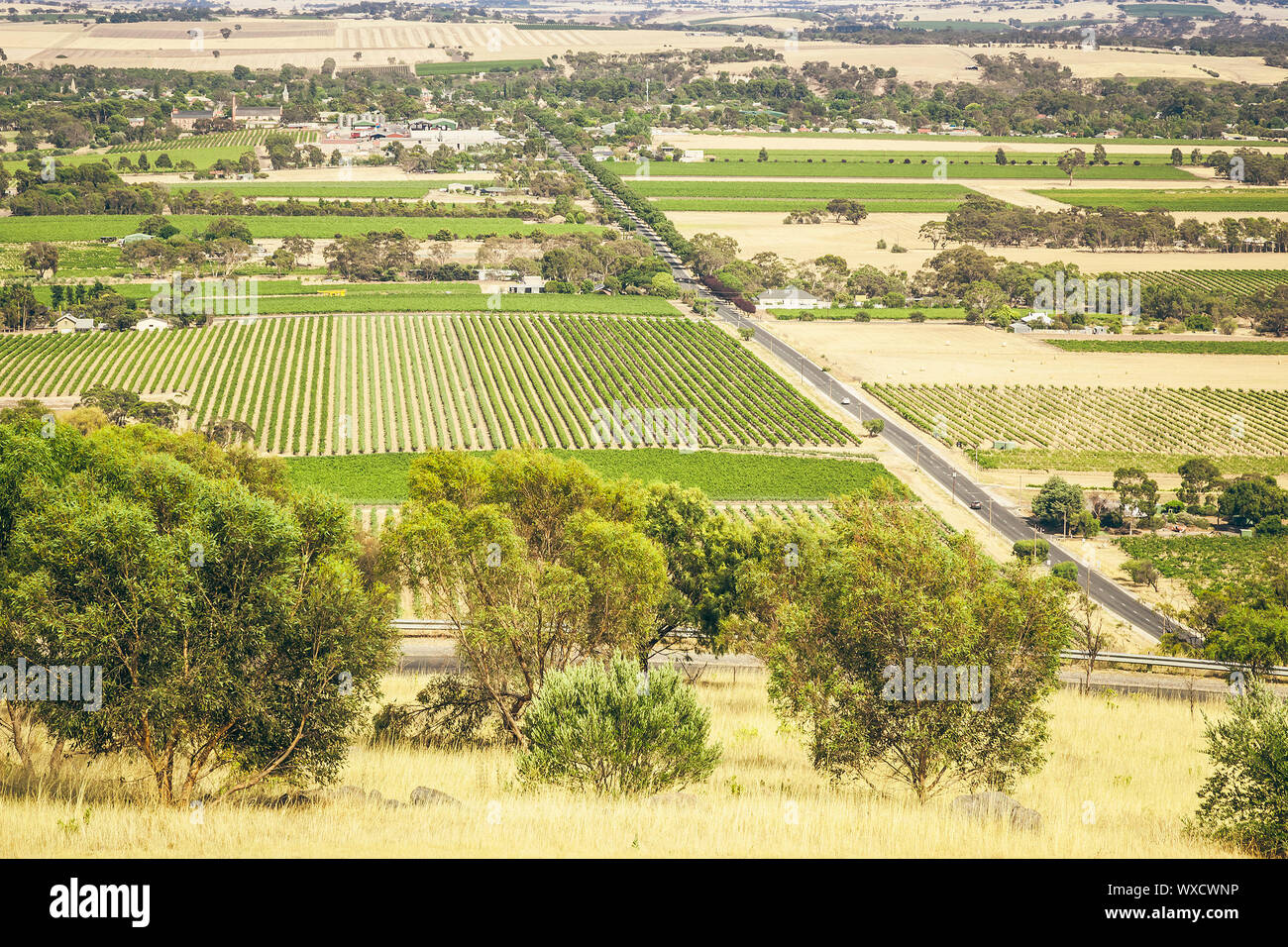 An image of the Barossa Valley landscape in Australia Stock Photo - Alamy