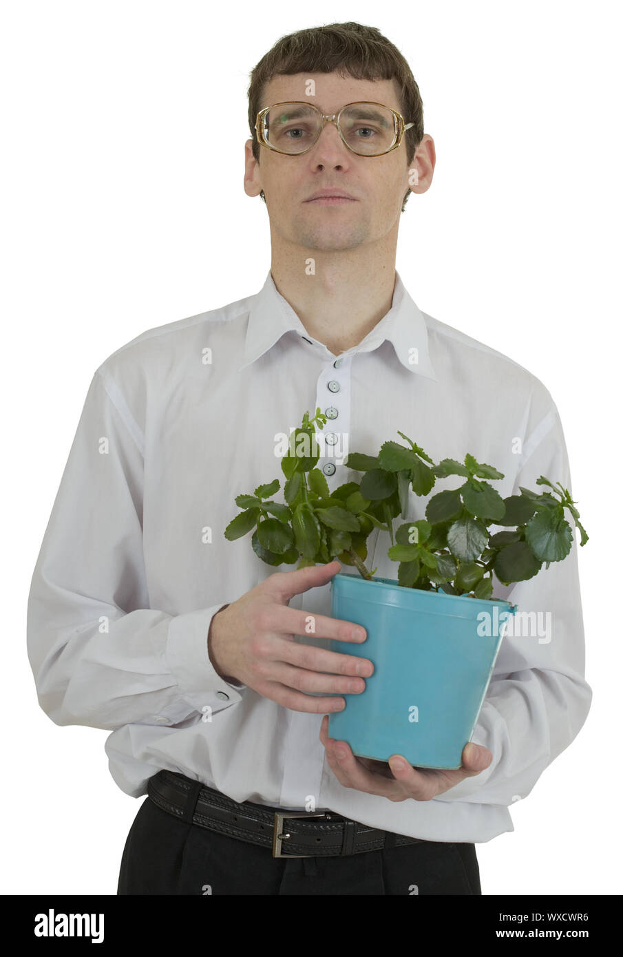 Portrait man in spectacles with window plant Stock Photo - Alamy