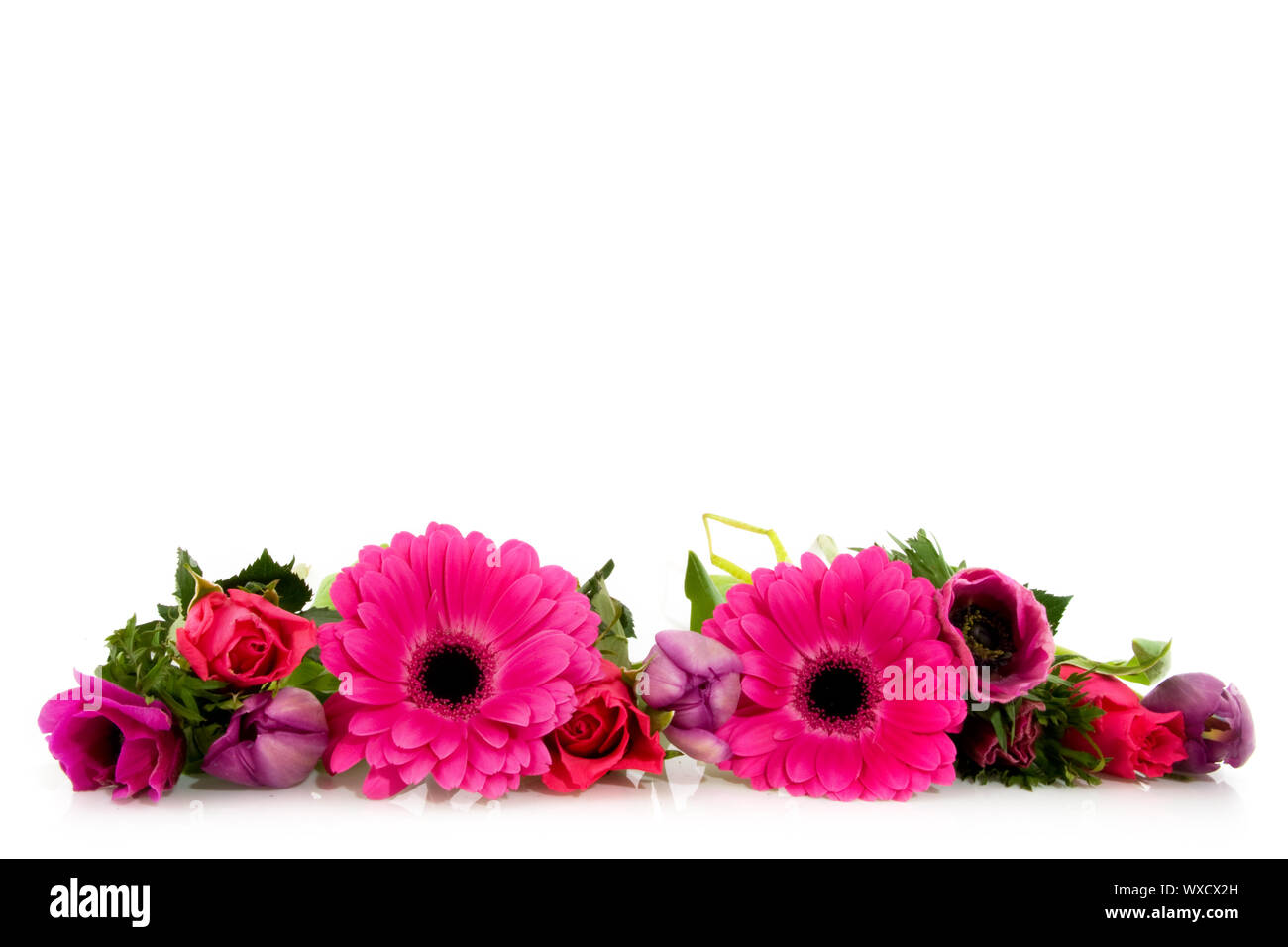 Guirland hi-res stock photography and images - Alamy