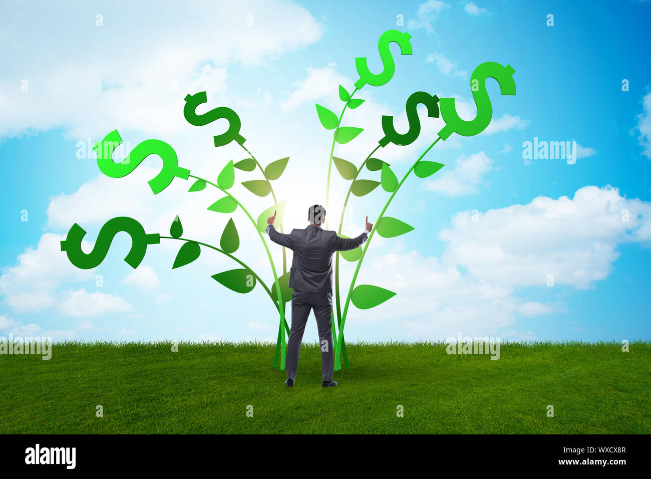 Money tree concept with businessman in growing profits Stock Photo - Alamy