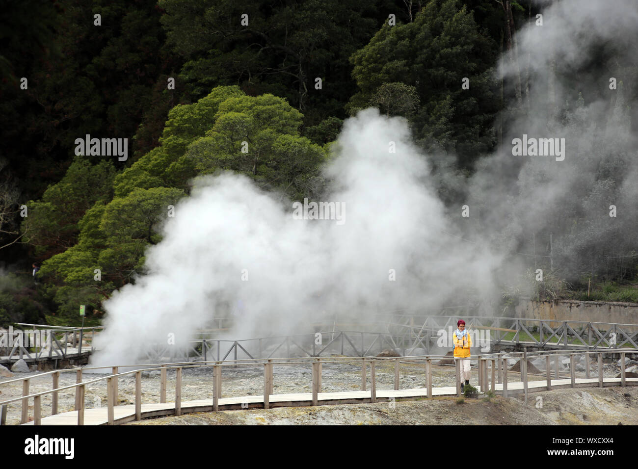 Fumaroles called Caldeiras at Lake Furnas Stock Photo - Alamy