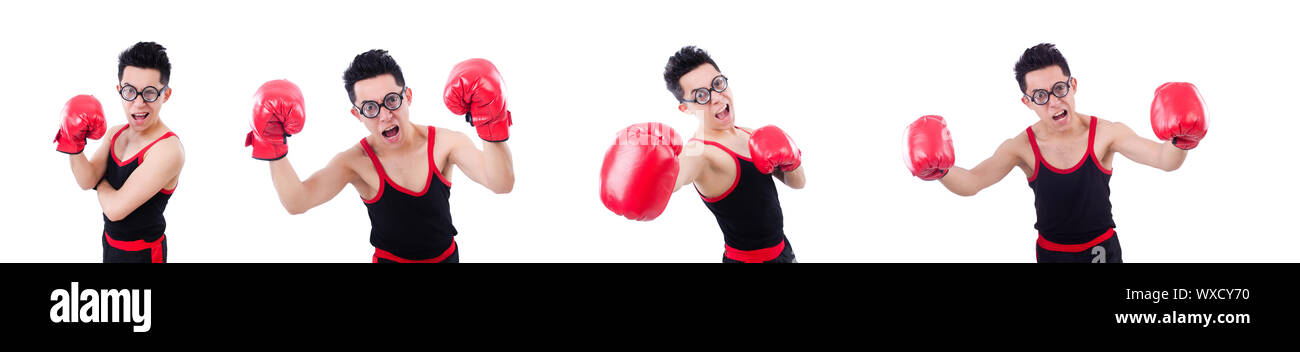 Funny boxer isolated on the white background Stock Photo - Alamy