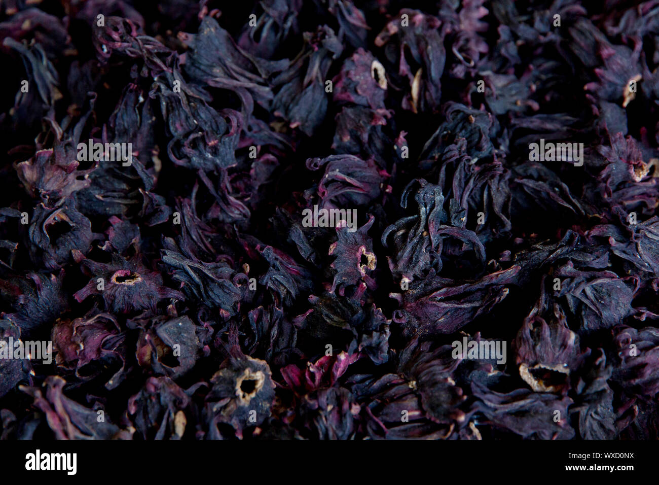 dry roselle flower background Stock Photo - Alamy