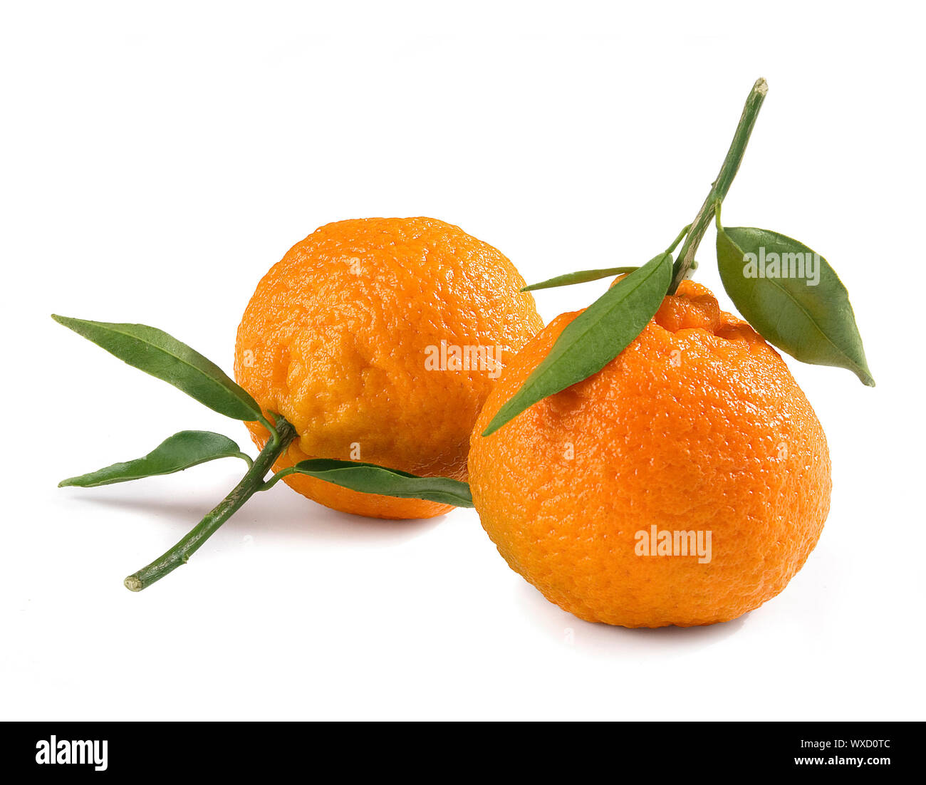 Two tangerines hi-res stock photography and images - Alamy
