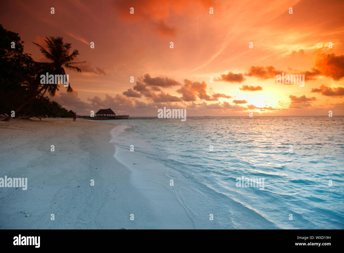 Beautiful view of sea and empty beach with palms on sunset Stock Photo ...