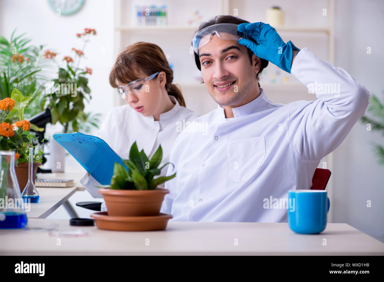 Two young botanist working in the lab Stock Photo - Alamy