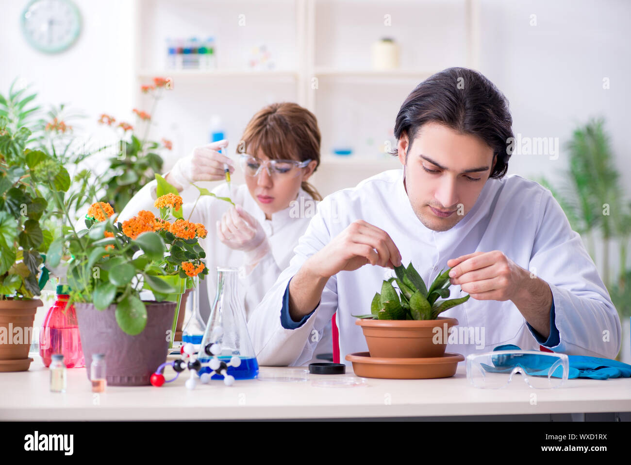 Two young botanist working in the lab Stock Photo - Alamy