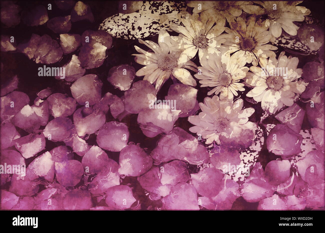 Soothing Zen Abstract as a Nature Background Stock Photo - Alamy