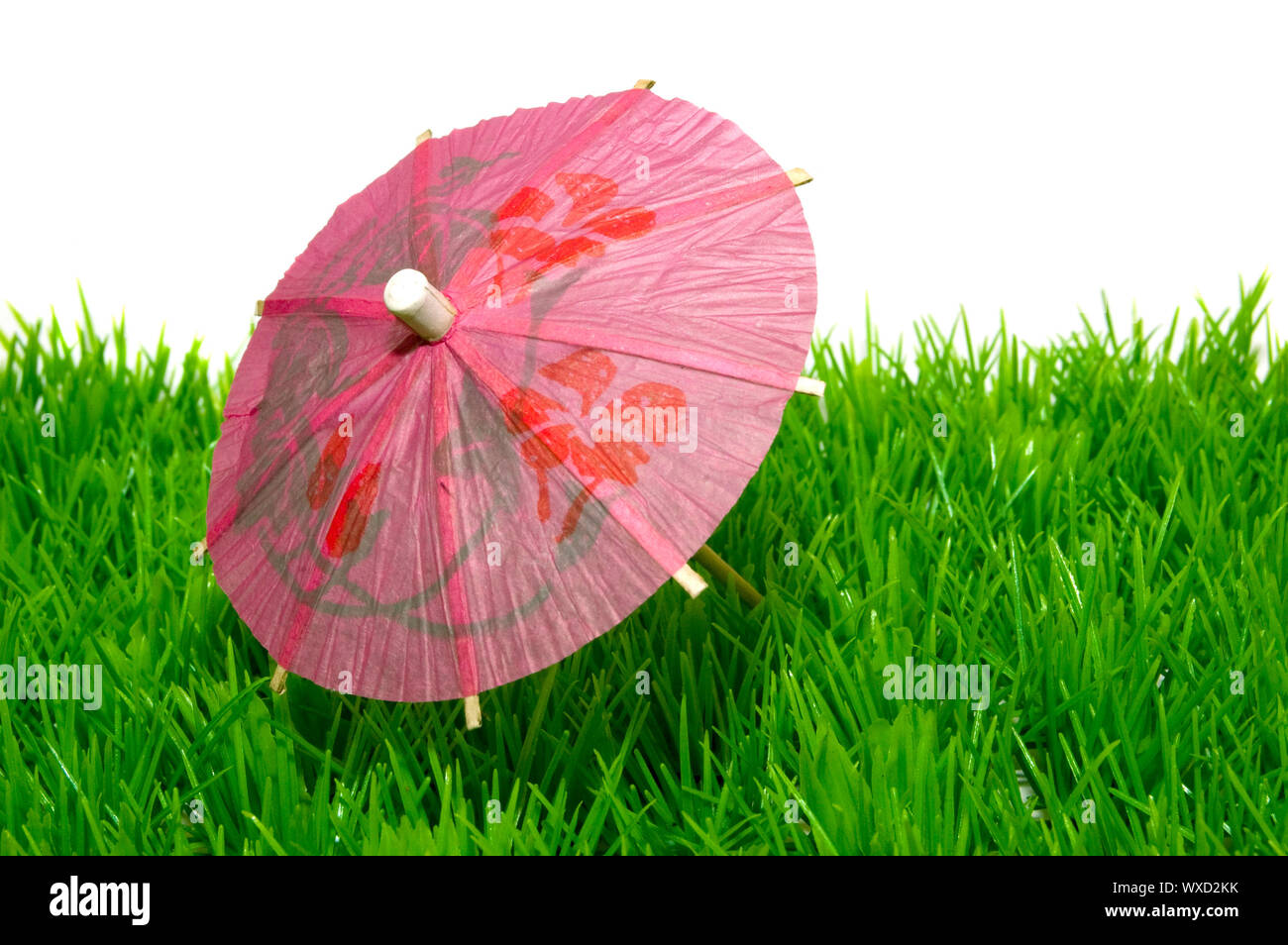 A pink parasol in the grass Stock Photo - Alamy