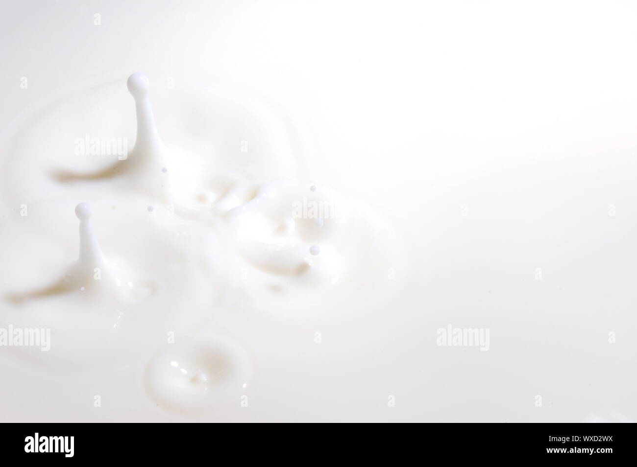 drop of milk splashes into fresh milk Stock Photo - Alamy