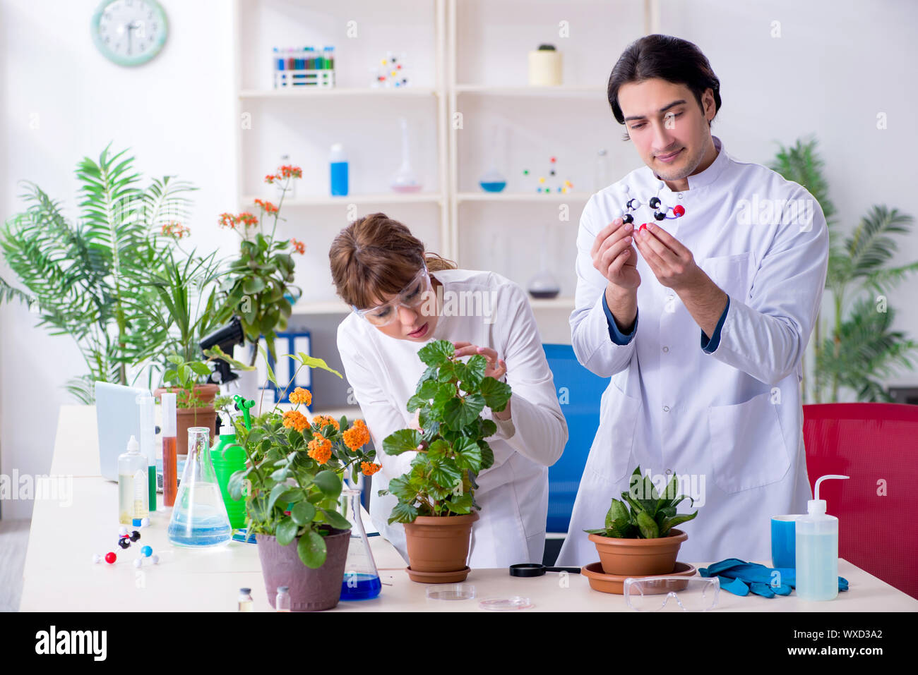 Two young botanist working in the lab Stock Photo - Alamy