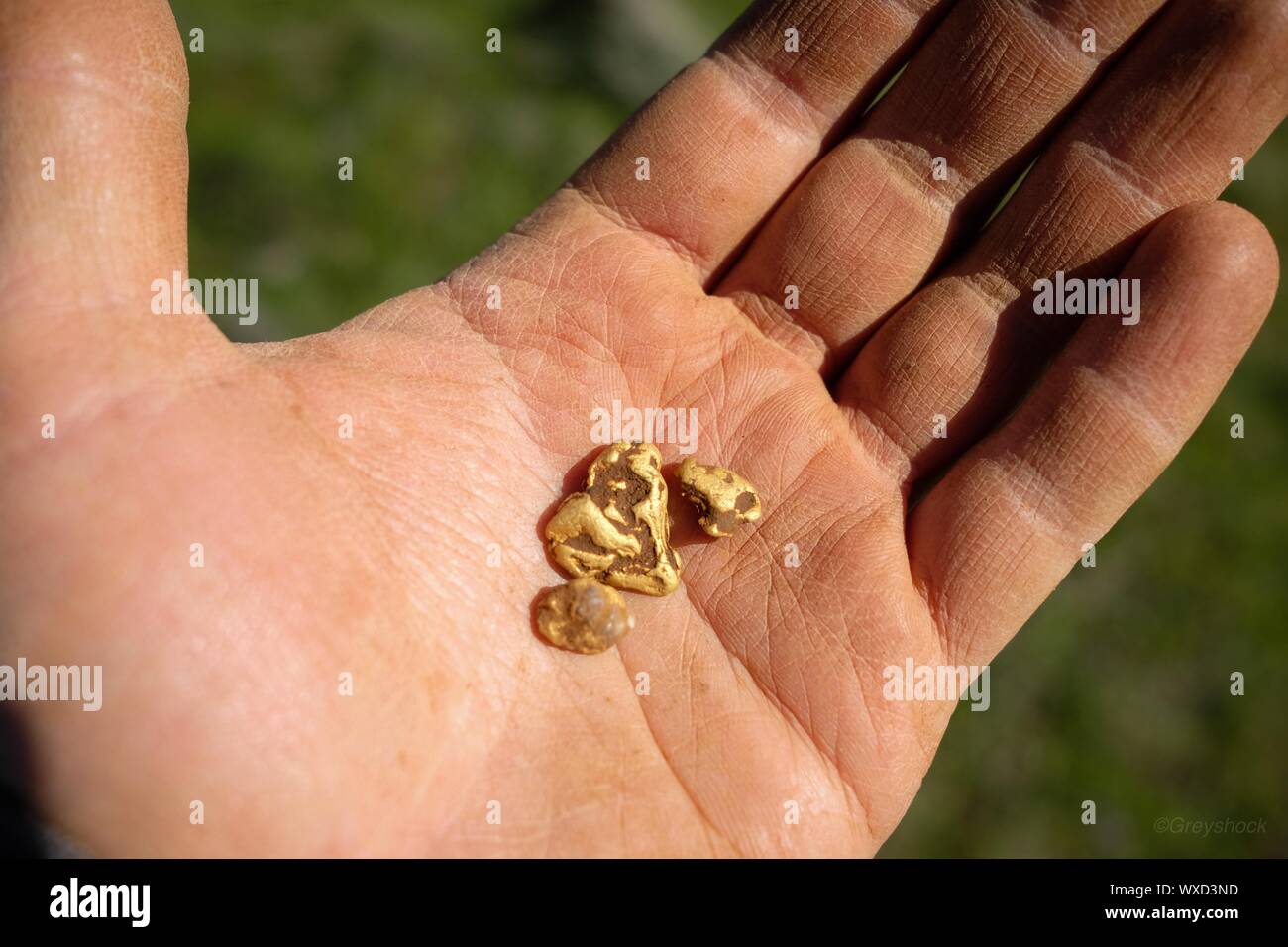 Gold nugget hands hi-res stock photography and images - Alamy