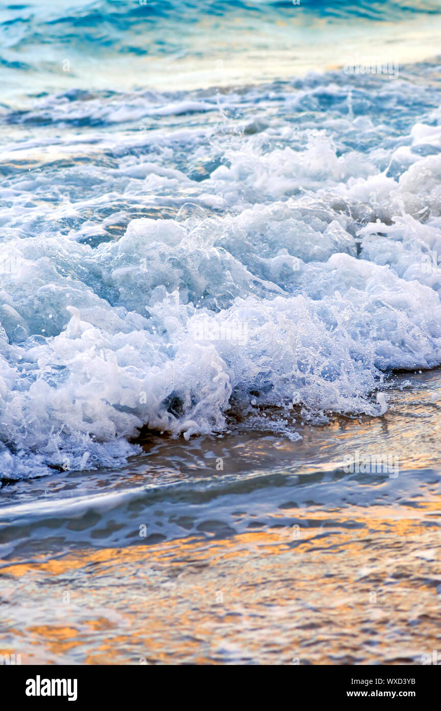 Tropical Caribbean sea waves breaking on the shore Stock Photo - Alamy